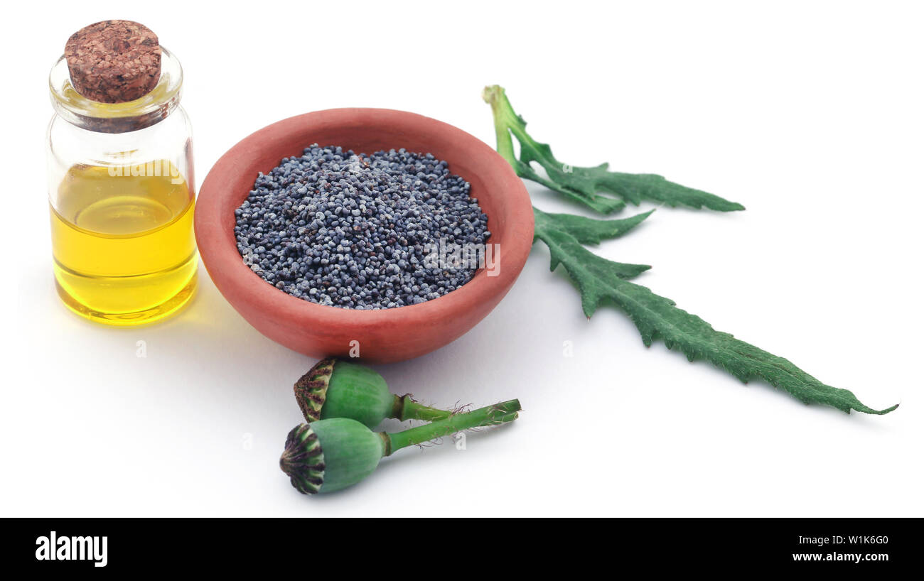 Poppy seeds and pods with extract in a bottle over white background ...