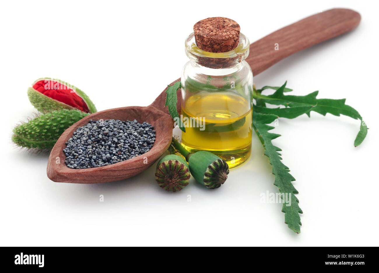 Poppy flower seeds and pods with extract oil over white background ...
