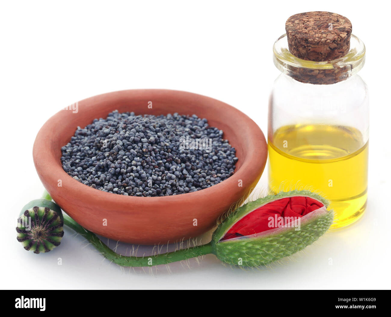Poppy flower seeds and pods with extract in bottle over white ...