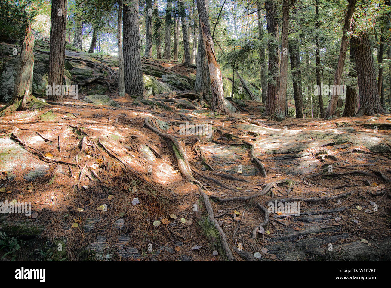 The Muskoka region north of Toronto have an almost magical allure ...