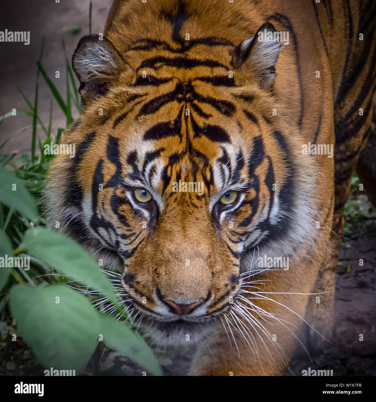 Another in the series of test shots with the new lens at the Toronto ...