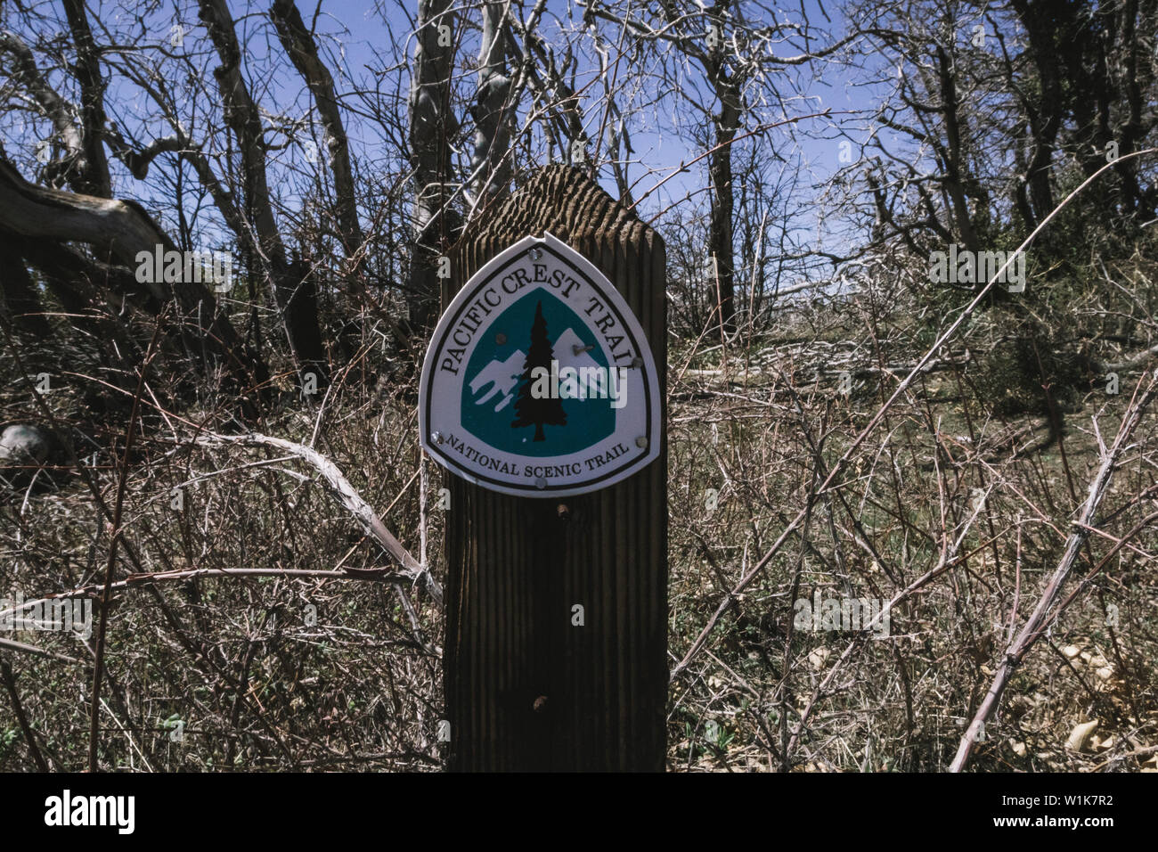 Pct symbol hi-res stock photography and images - Alamy