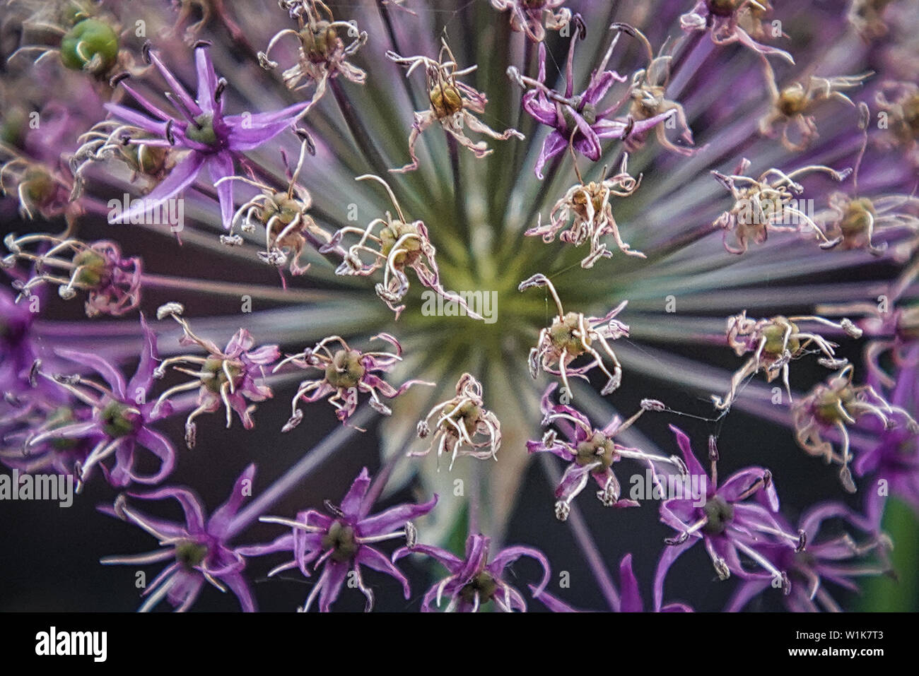4mp hi-res stock photography and images - Alamy