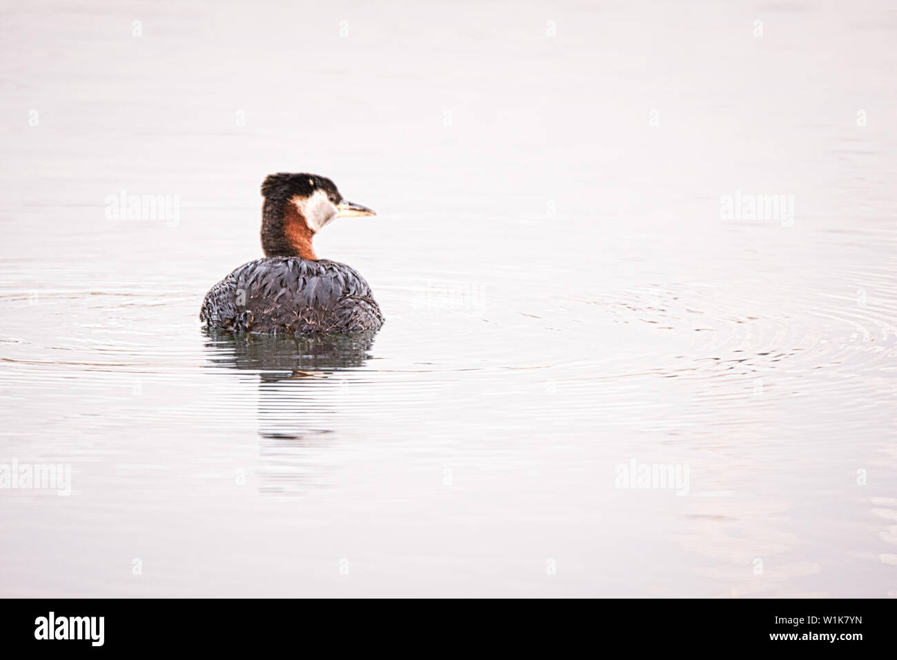 The same object hi-res stock photography and images - Alamy