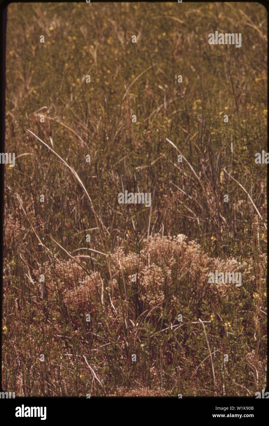 Colstrip hi-res stock photography and images - Alamy