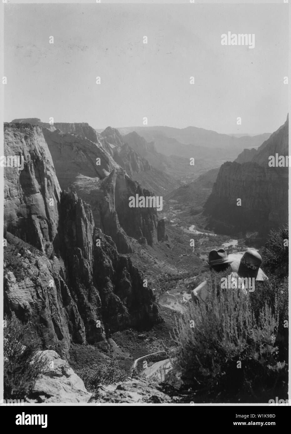 Vertical view down Canyon from Observation Point. Figures at right ...