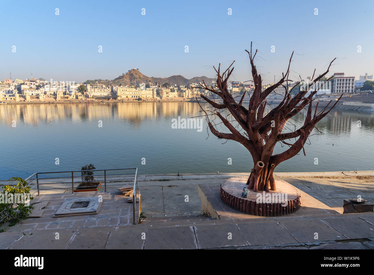 Tree on ghats at Pushkar holy lake in Rajasthan. India Stock Photo - Alamy