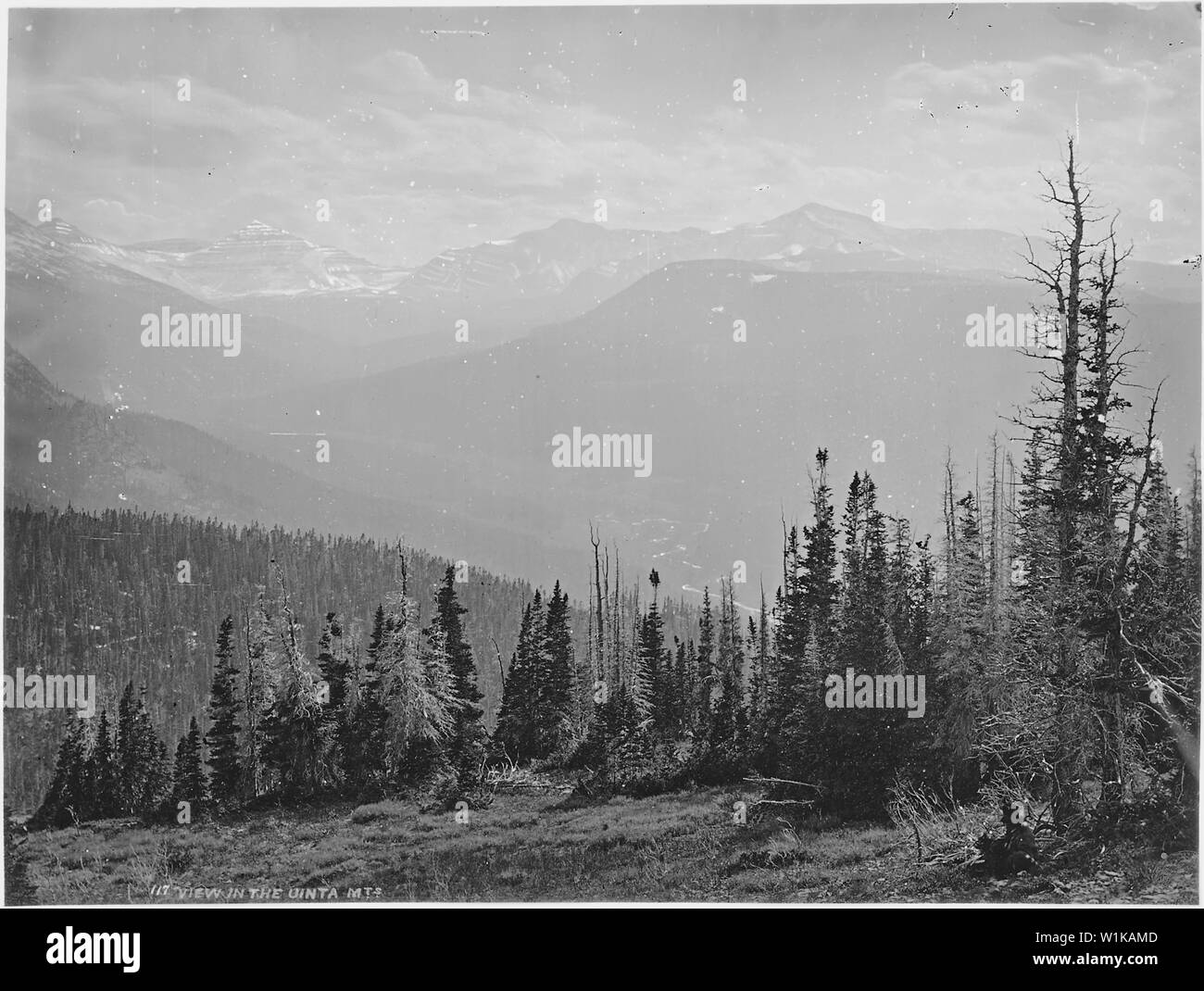 View in the Uinta Mountains, Summit County, Utah Stock Photo - Alamy