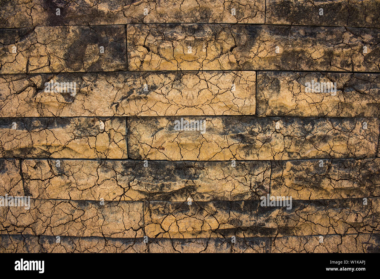 Soil fissures hi-res stock photography and images - Alamy