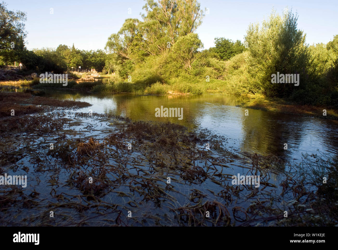 Water, a source of life Stock Photo - Alamy