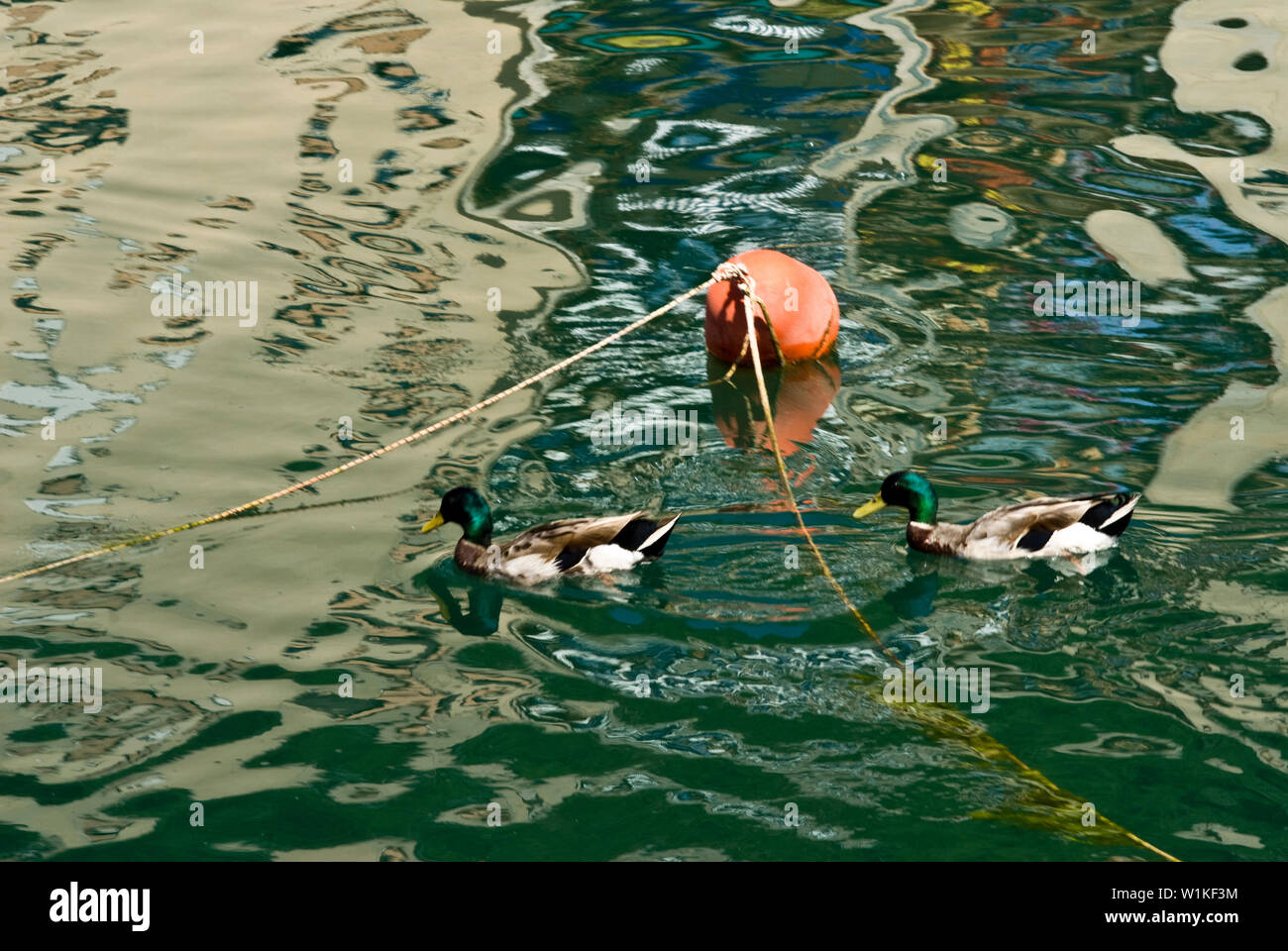 Water, a source of life Stock Photo - Alamy