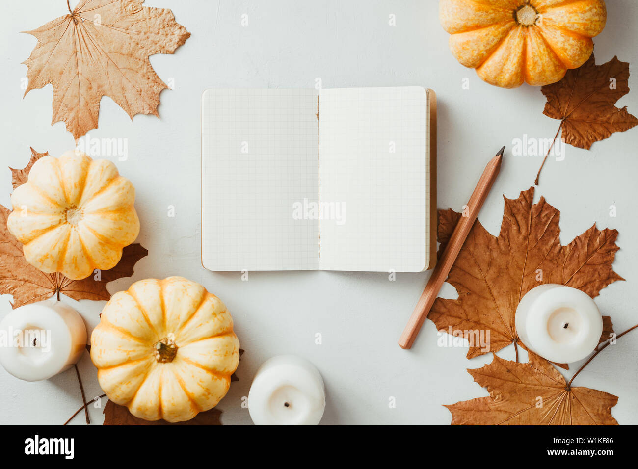 Autumn flat lay with small pumpkins, fall maple leaves and blank paper ...
