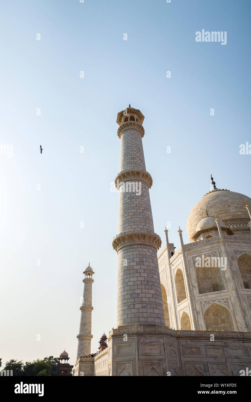 Taj Mahal Pillar High Resolution Stock Photography and Images - Alamy