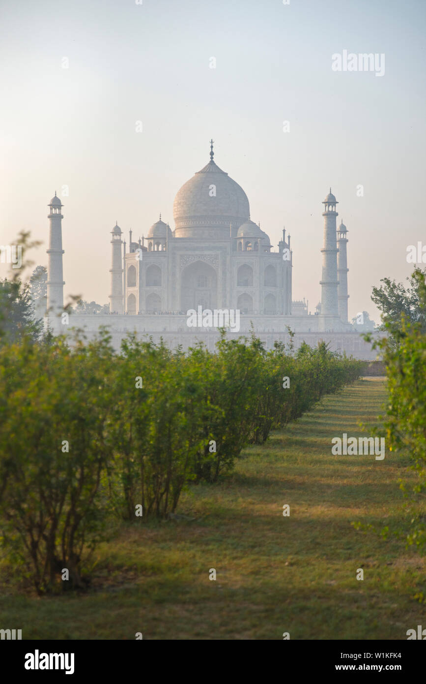 Taj Mahal at sunrise, Agra, India Stock Photo - Alamy
