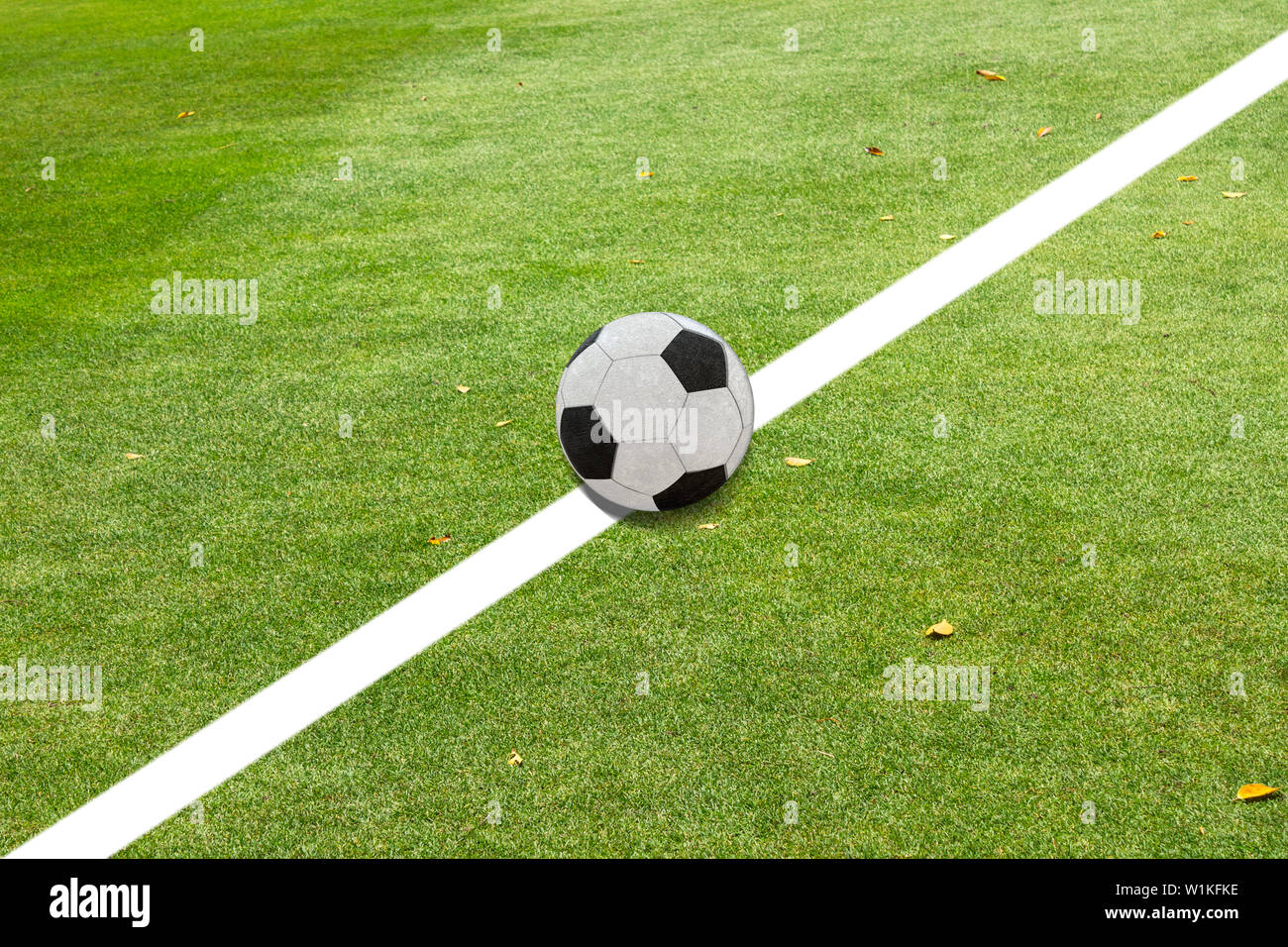 White line on soccer field grass Stock Photo - Alamy
