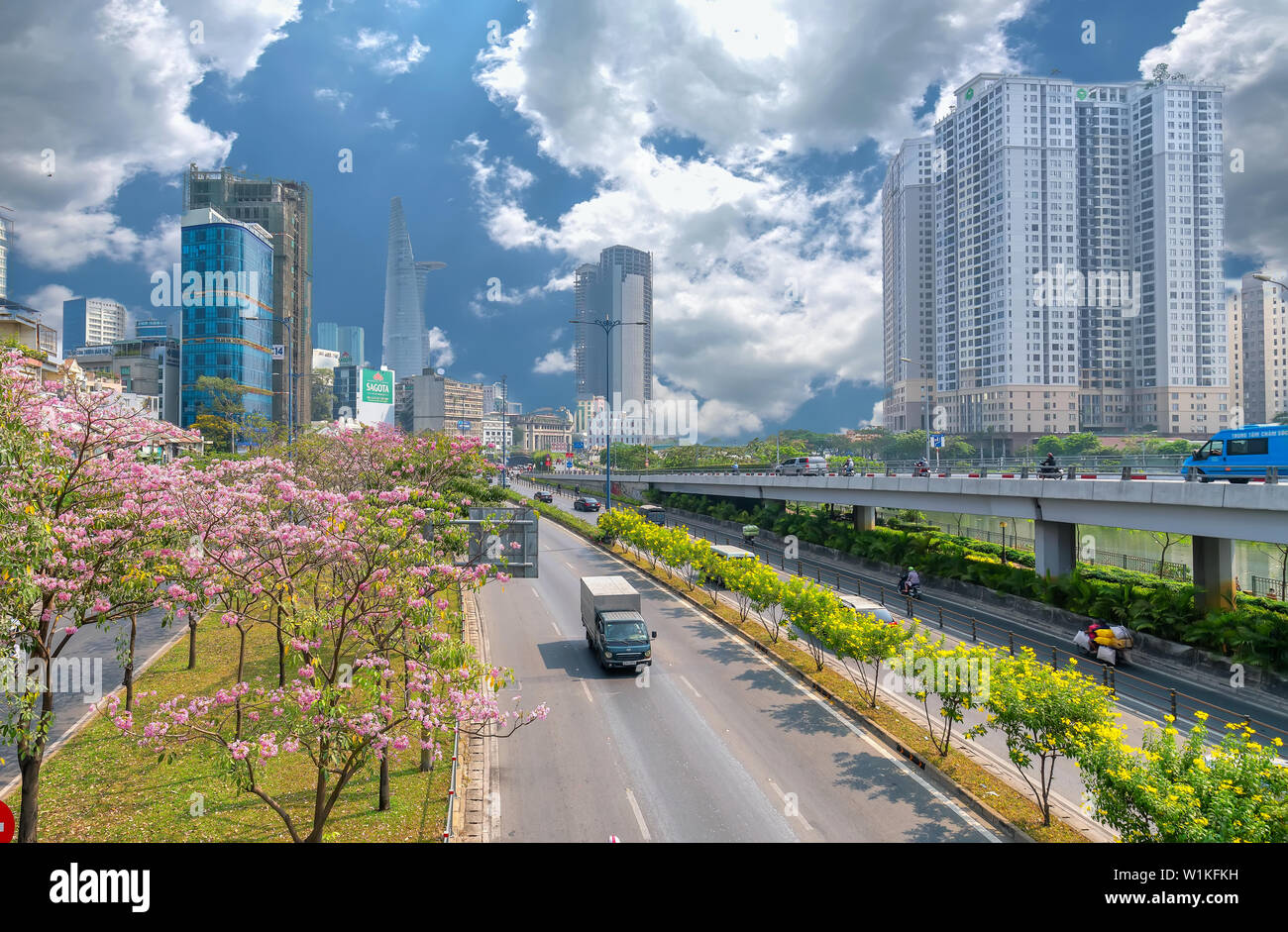 Traffic in Saigon street with car move under pink tabebuia rosea flower ...