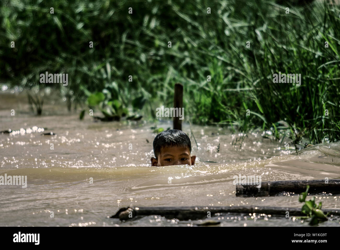 Wet nature hi-res stock photography and images - Alamy