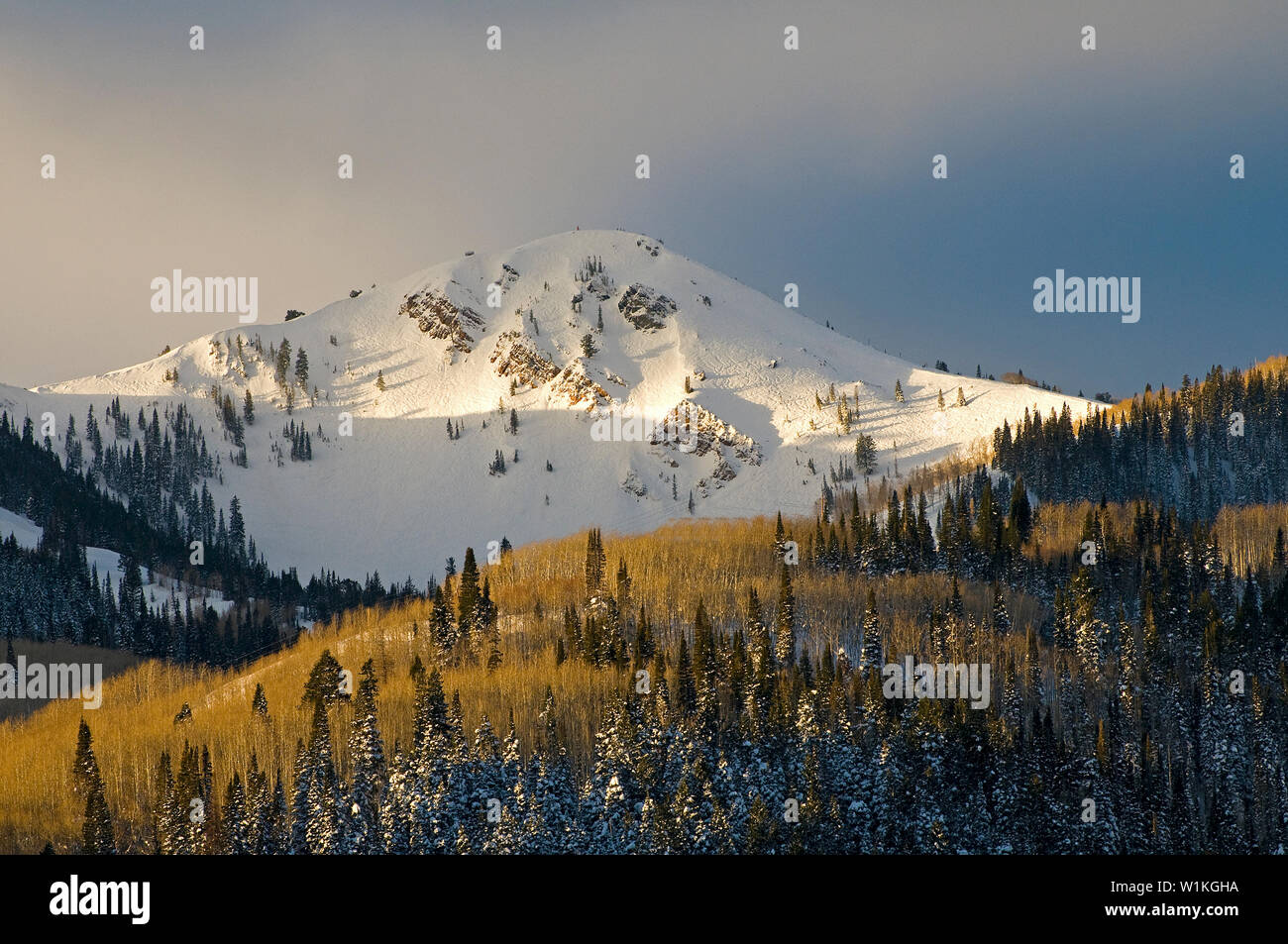Park city mountain resort hi-res stock photography and images - Alamy