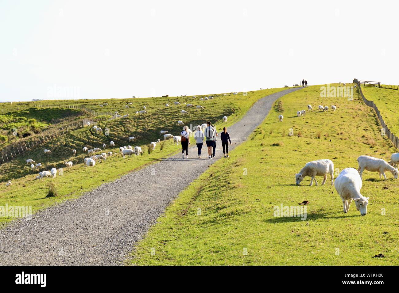 New zealand team group hi-res stock photography and images - Alamy