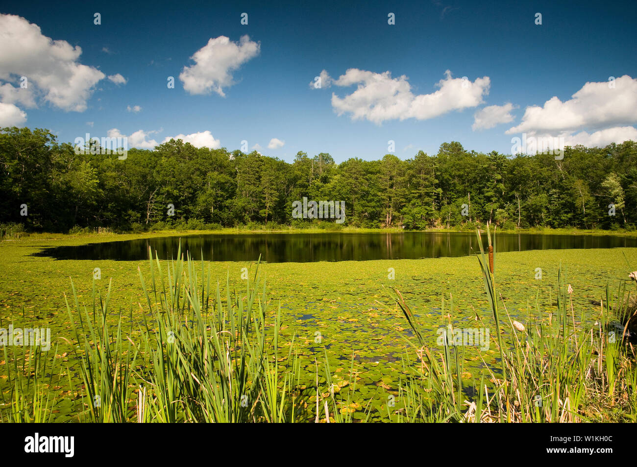 Kelly pond hi-res stock photography and images - Alamy