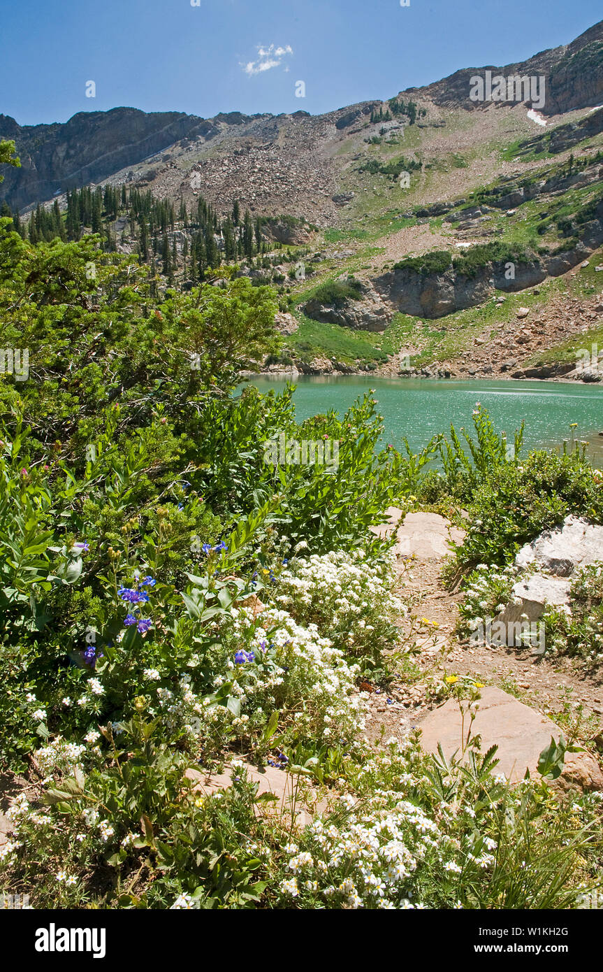 Alta ski resort hi-res stock photography and images - Alamy