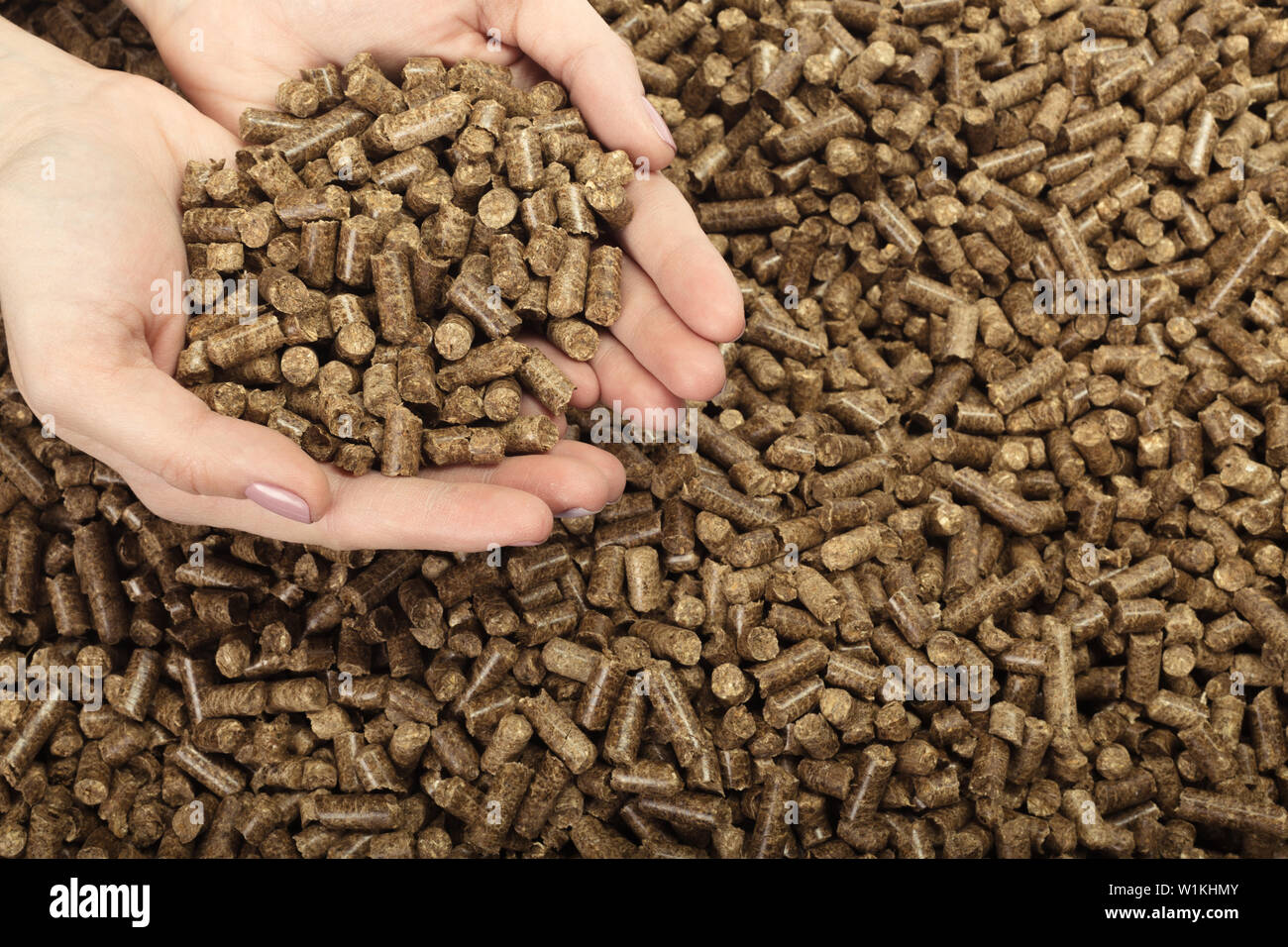 Human hand holding solid wooden pellets Stock Photo - Alamy
