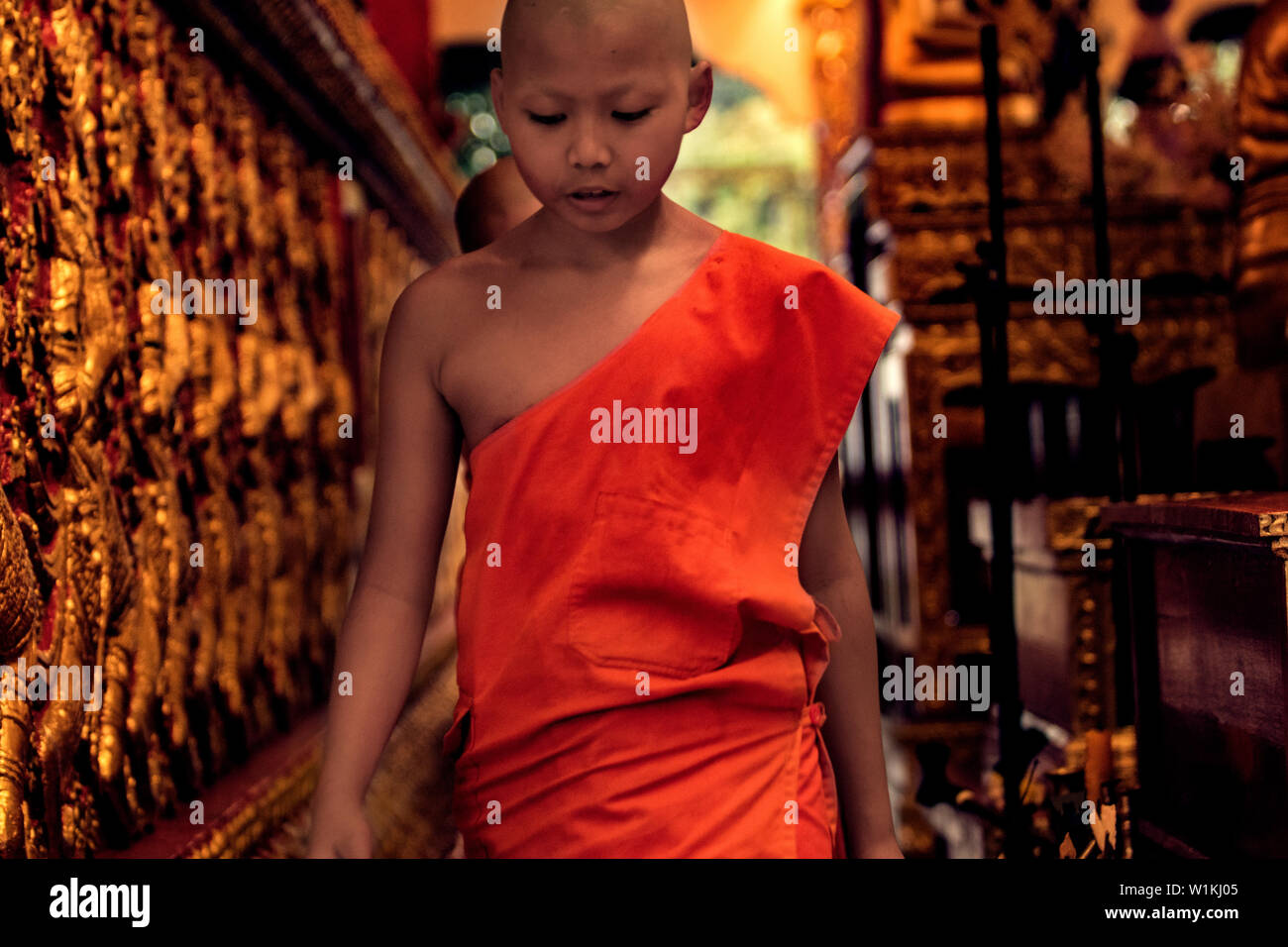 adult portrait one people woman Stock Photo - Alamy