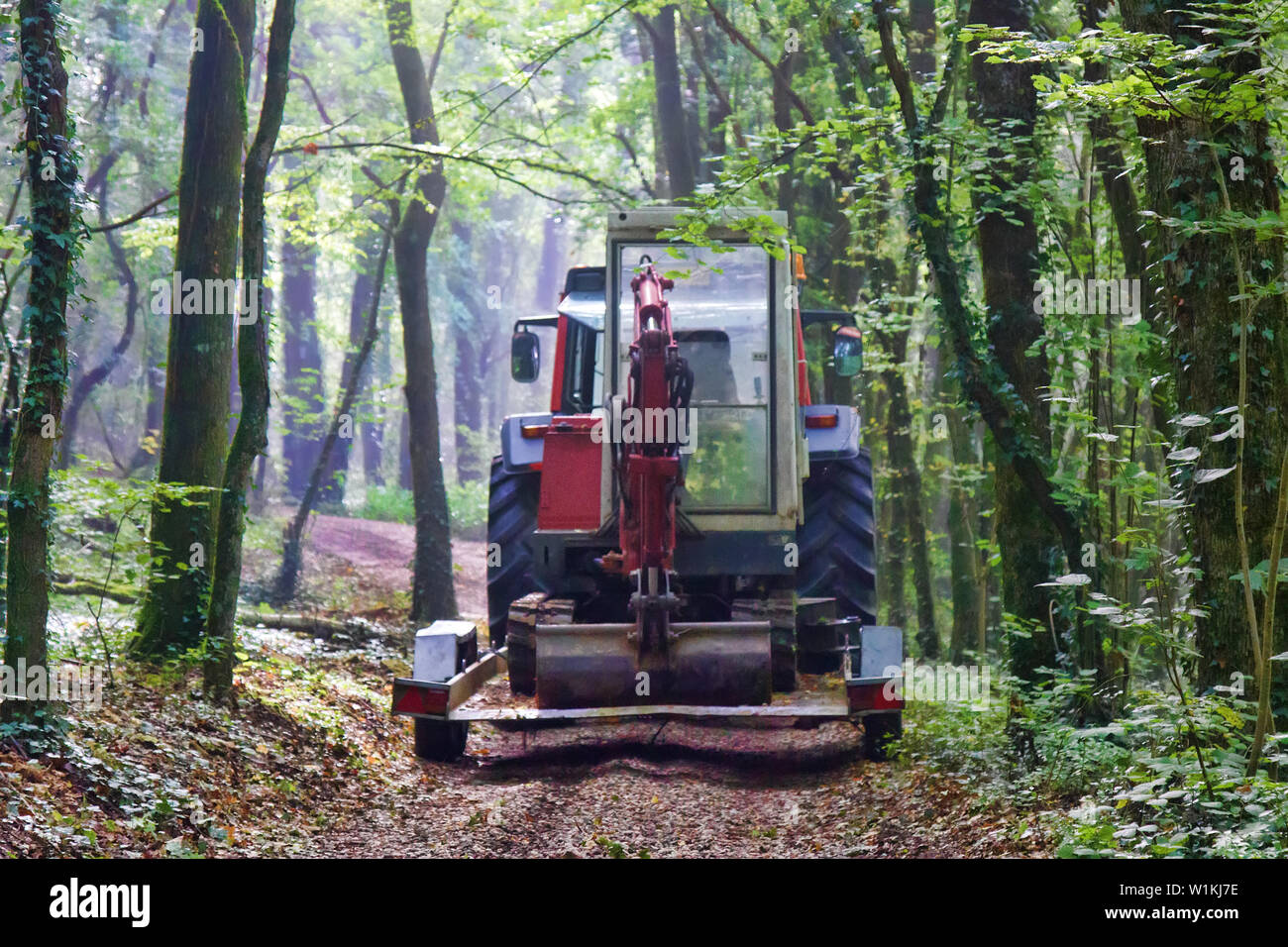 Micro excavator hi-res stock photography and images - Alamy