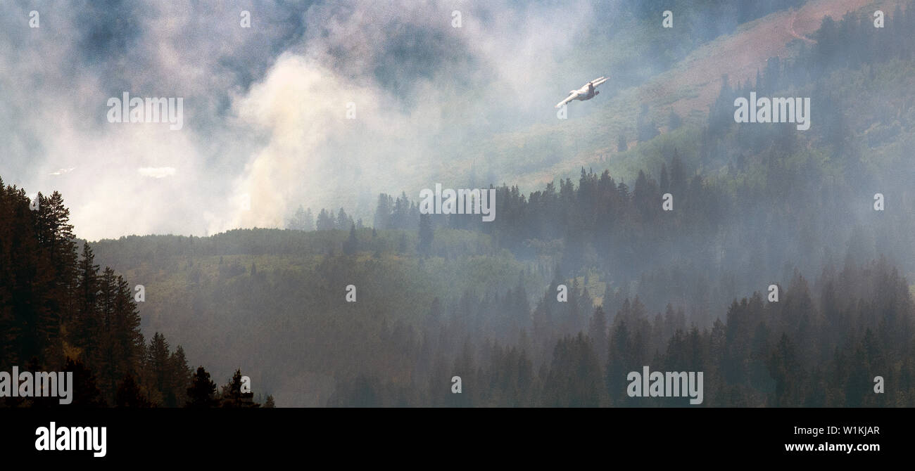 A BAe-146 jet fire tanker from Neptune Aviatin flies its final approach ...