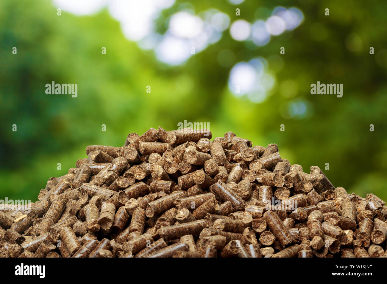 Biofuels hi-res stock photography and images - Alamy