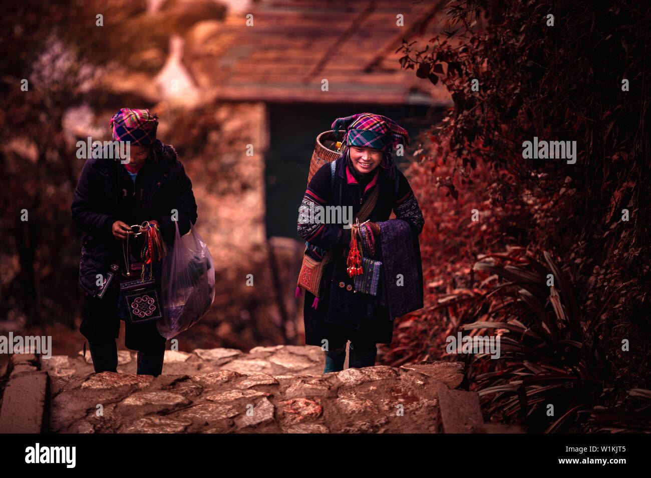 Step by Step Stock Photo - Alamy