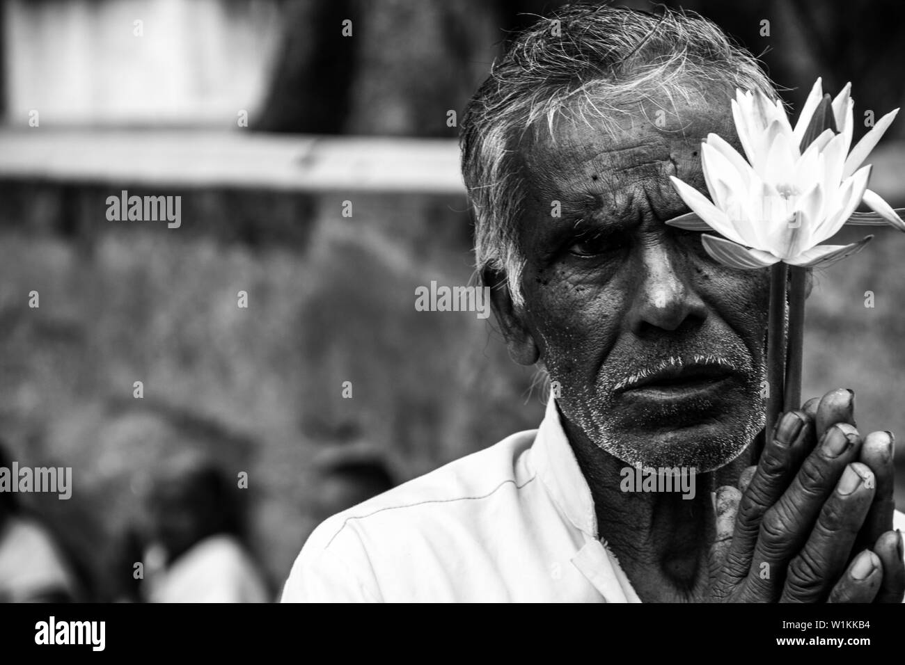 man adult one people portrait Stock Photo - Alamy