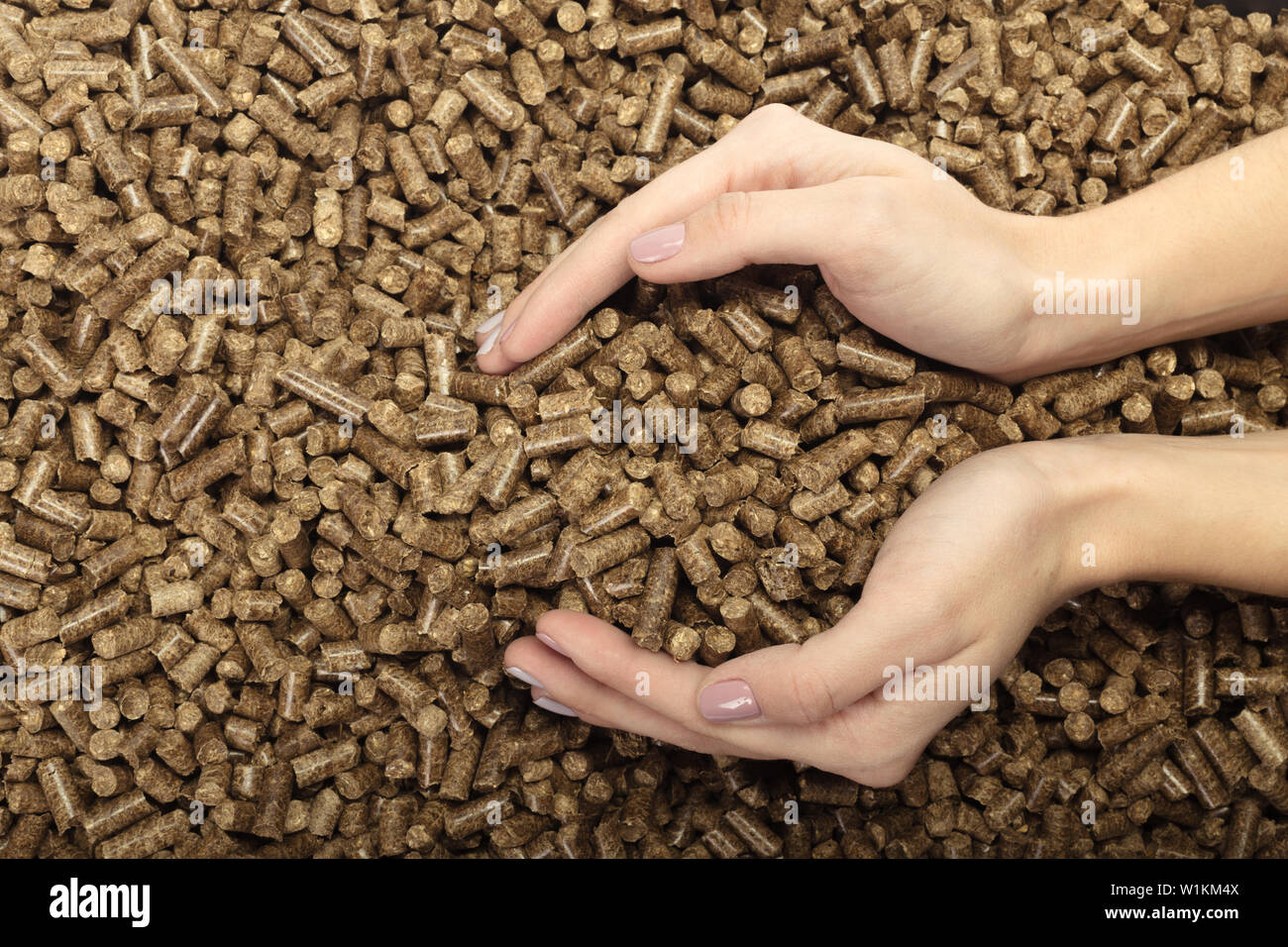 Human hand holding solid wooden pellets Stock Photo - Alamy