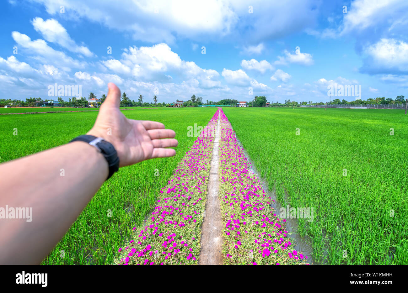 Cong nature trail hi-res stock photography and images - Alamy