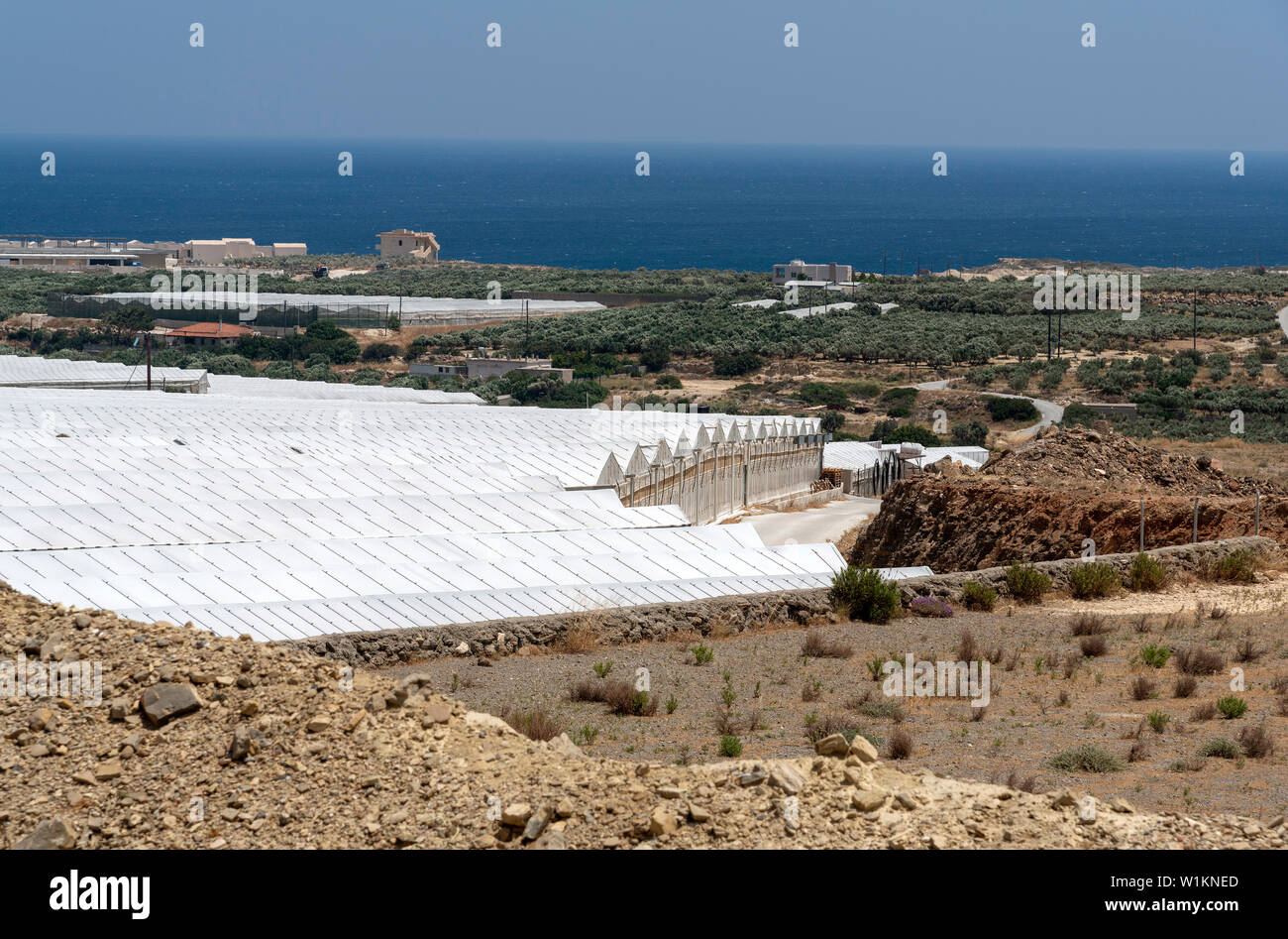Greek farm greece crops growing hi-res stock photography and images - Alamy