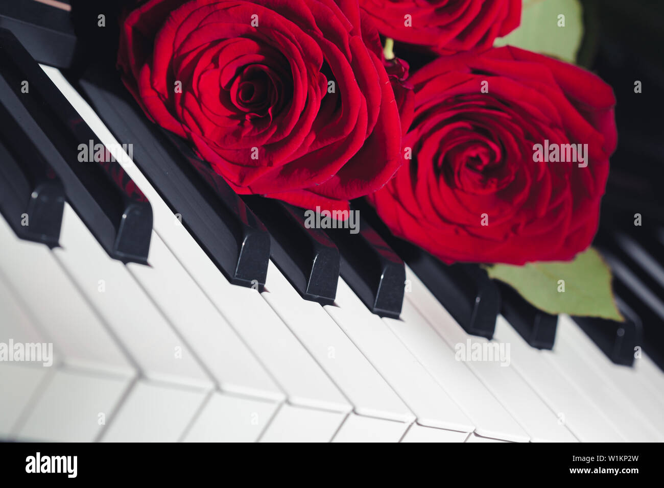 red roses on piano keys Stock Photo - Alamy