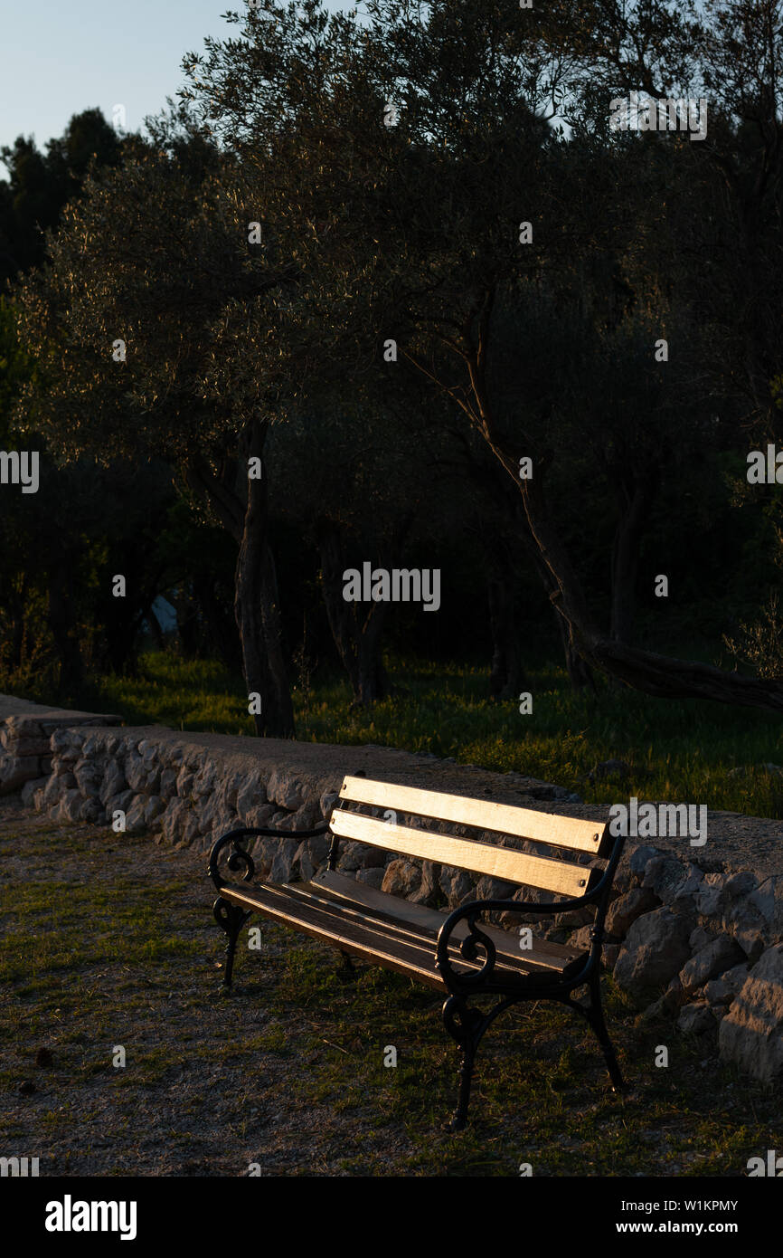 Wooden bench olive tree hi-res stock photography and images - Alamy