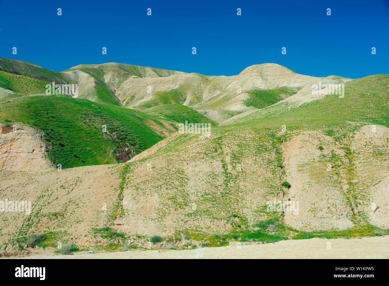 Nature in tel aviv hi-res stock photography and images - Alamy