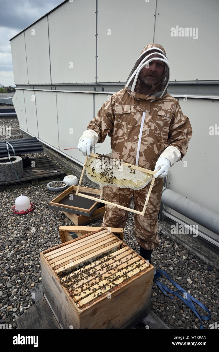Live honeybees honey bees hi-res stock photography and images - Alamy