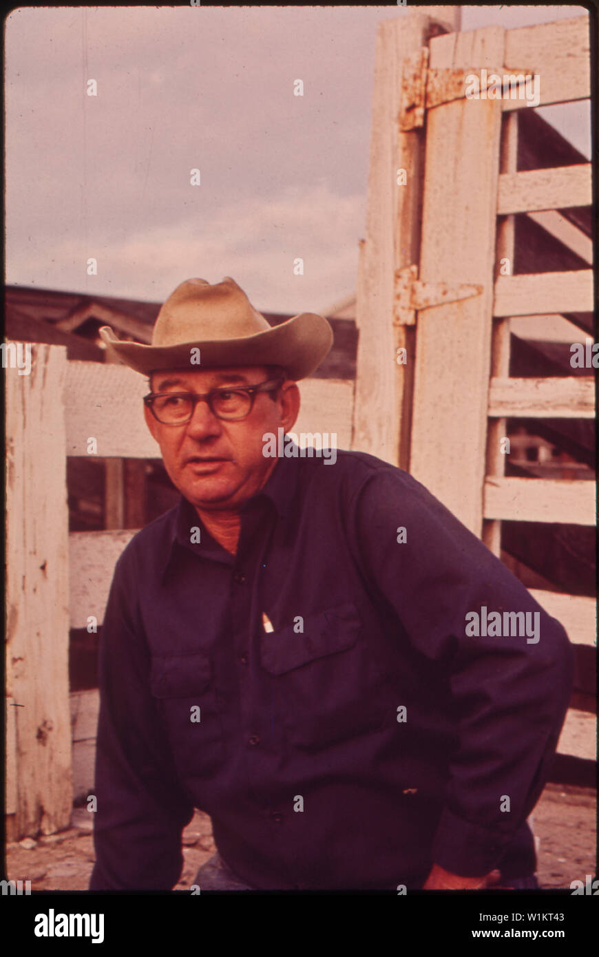 WORKMAN AT DOMINICK'S STOCK YARD Stock Photo - Alamy