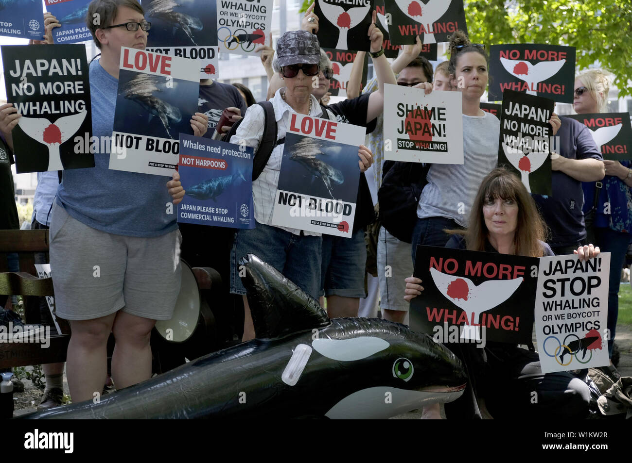 Anti whale hunting hi-res stock photography and images - Alamy