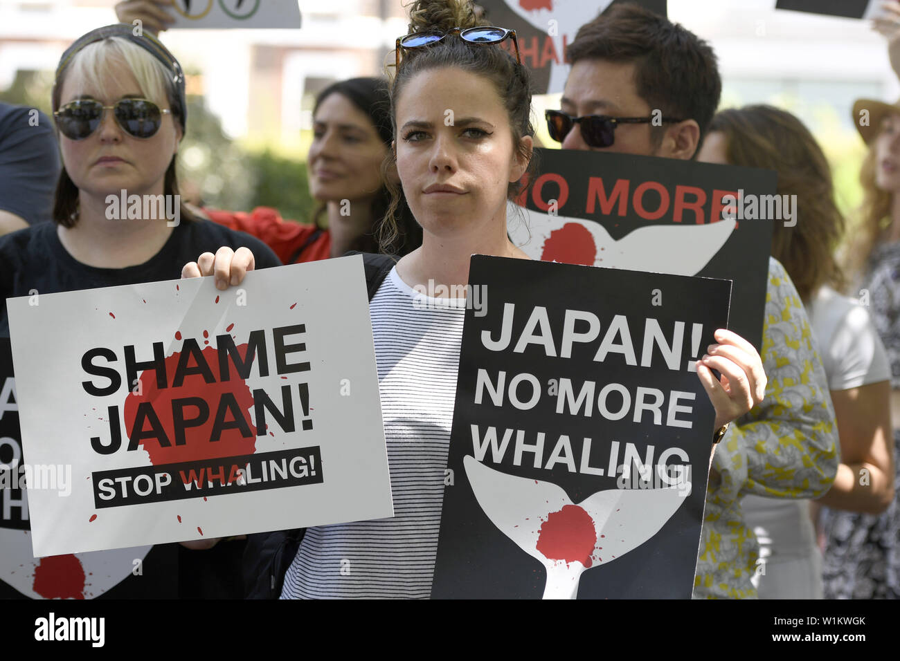 Iceland protest whale hi-res stock photography and images - Alamy