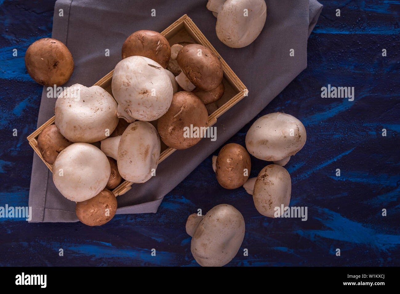 Mushrooms texture hi-res stock photography and images - Alamy