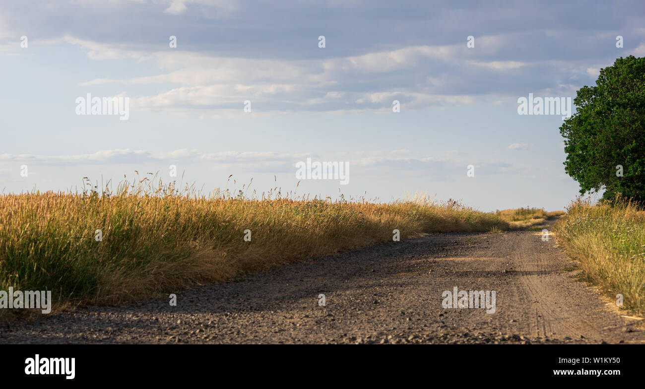 Summer sunset road background hi-res stock photography and images - Alamy