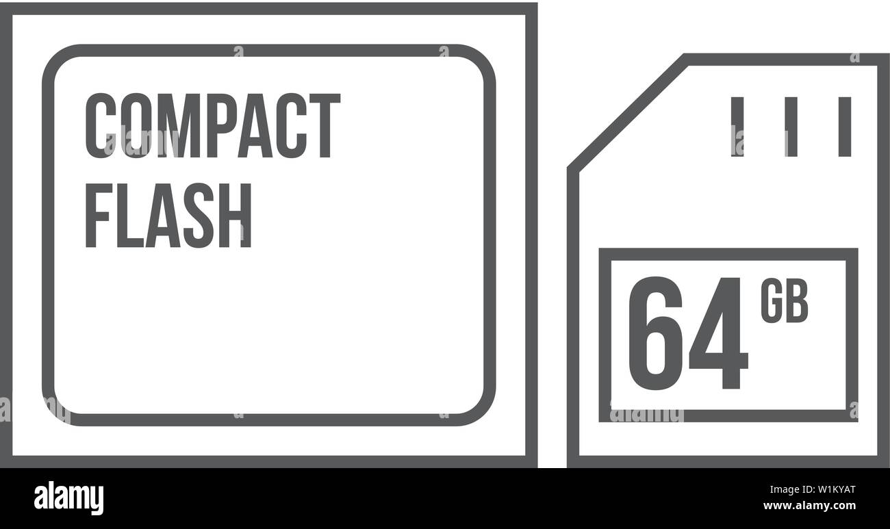 Compact flash and SD card icon in thin outline style. Computer ...