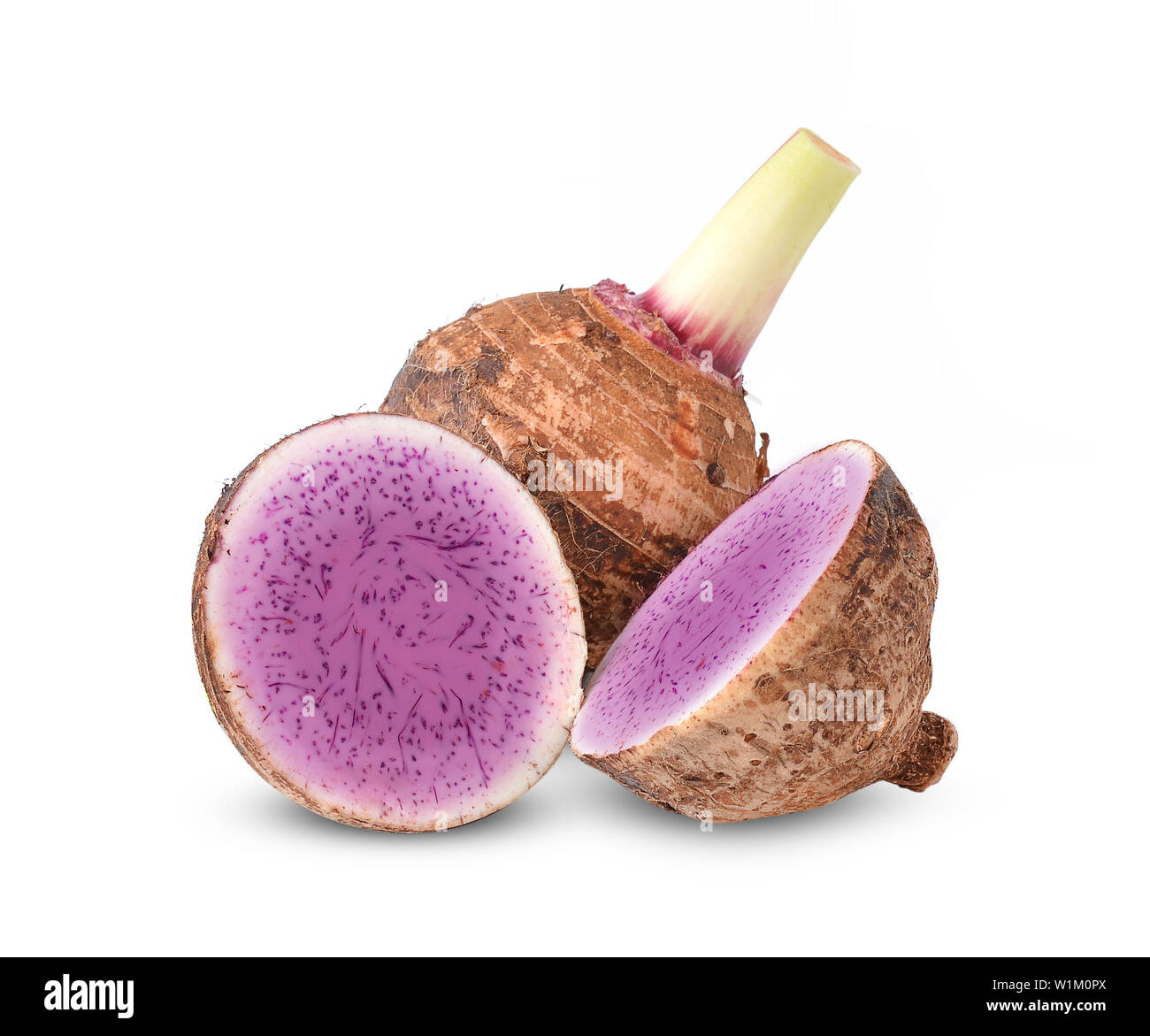 Taro, sliced of taro isolated on white background Stock Photo - Alamy