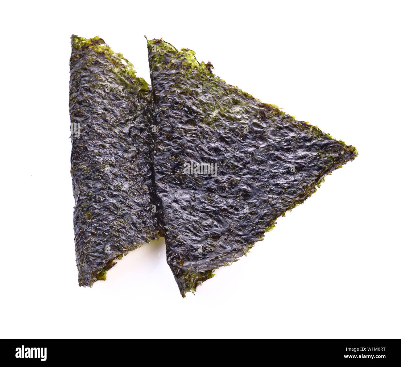 seaweed on white background Stock Photo - Alamy