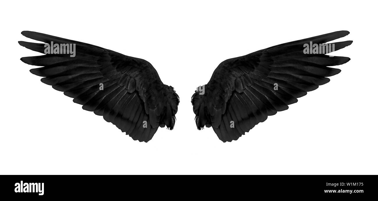 black wings isolated on white background Stock Photo - Alamy