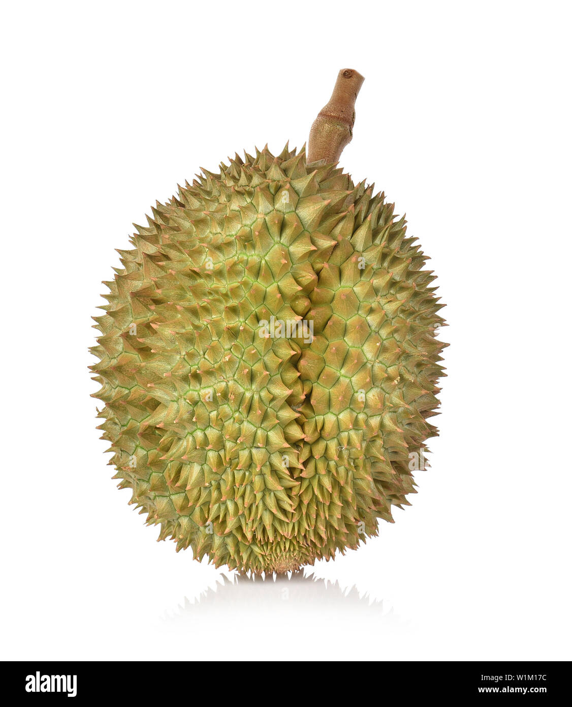 Whole durian fruit hi-res stock photography and images - Alamy