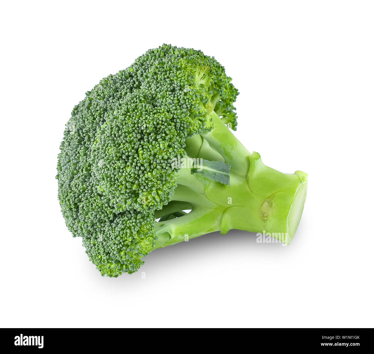 Broccoli isolated on white background Stock Photo - Alamy